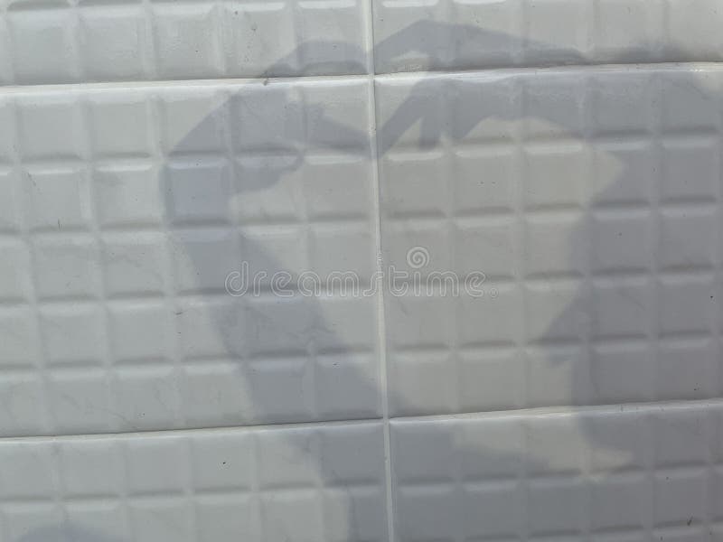 Shadow Forming Heart Shape on Textured White Surface, Symbolizing Love ...