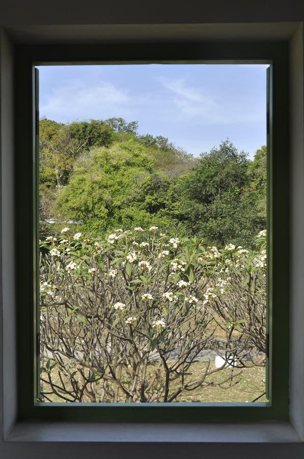 Shadow Frame Garden Classic Style Stock Image - Image of beautiful ...