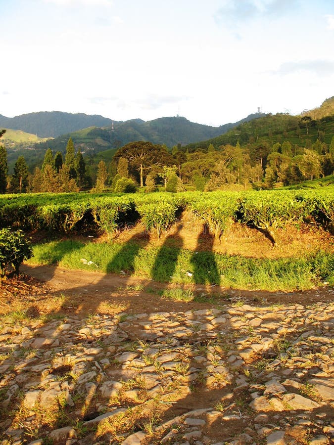 Shadow of Friendship stock image. Image of friends, silhoutte - 5749205