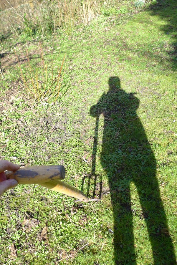 Shadow of a gardener stock image. Image of country, rake - 92866407