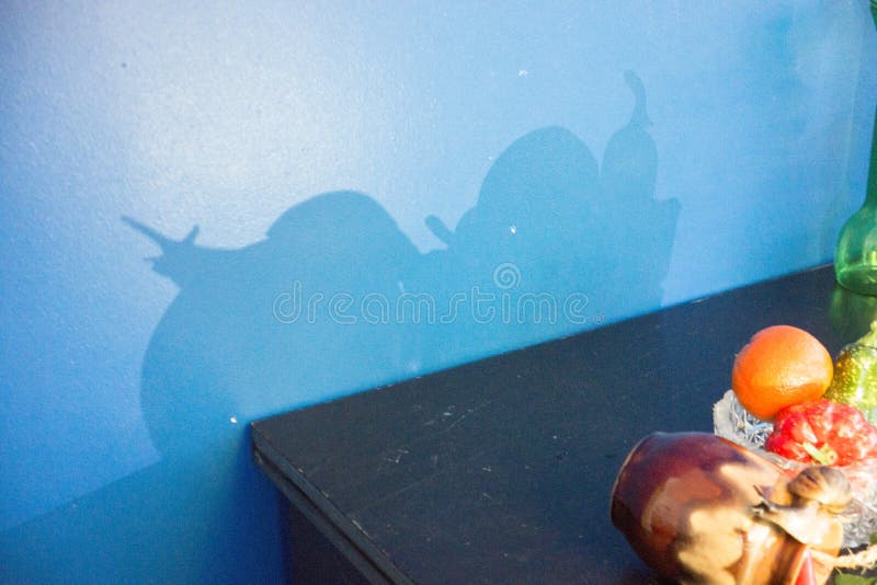 The Shadow of the Giant Snail Achatina on the Blue Wall Stock Photo ...