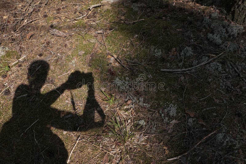 Shadow of Girl is Making Picture in the Forest Stock Photo - Image of ...