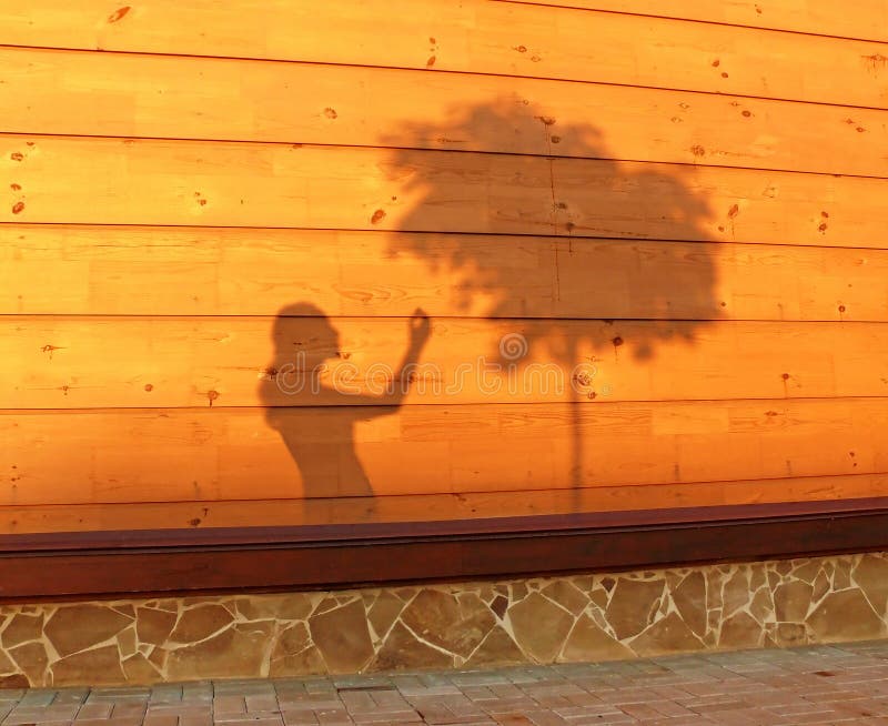 Shadow of a Girl on a Wooden Wall Stock Photo - Image of alone ...
