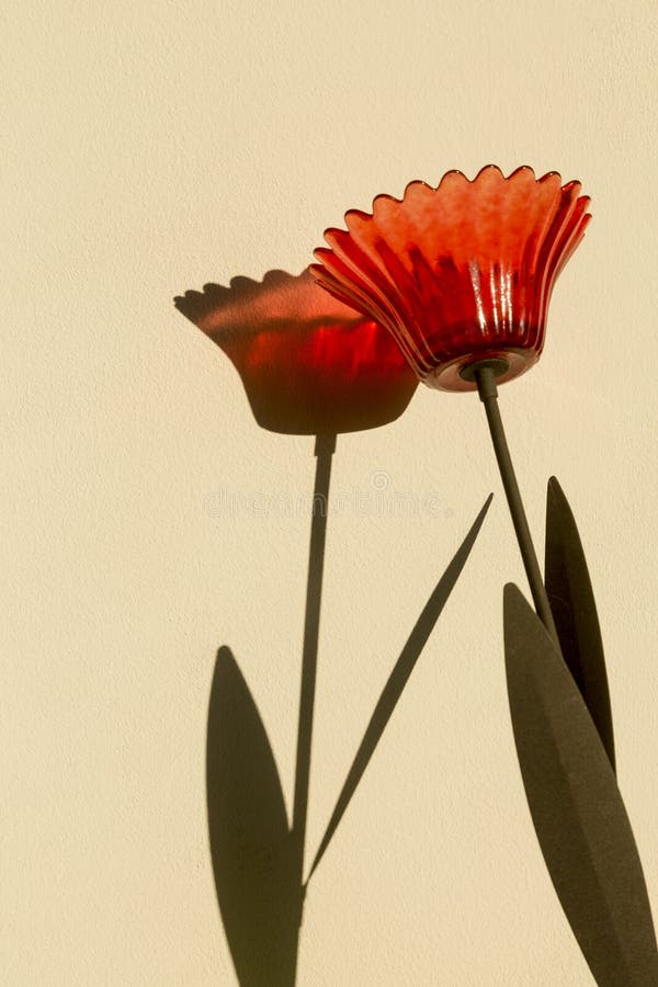 Shadow of the glass flower stock photo. Image of emotion - 81483872