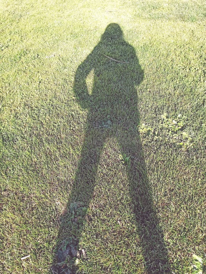 Shadow on a grass stock image. Image of leaf, pattern - 214135403