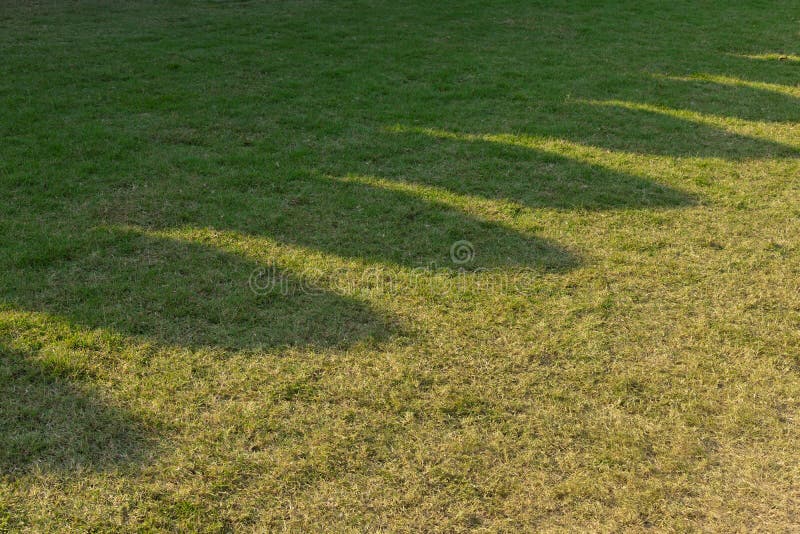 Shadow on Green Grass Texture Stock Image - Image of spring, grass ...