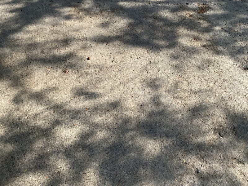 Shadow on the ground. stock photo. Image of plant, lawn - 277320306