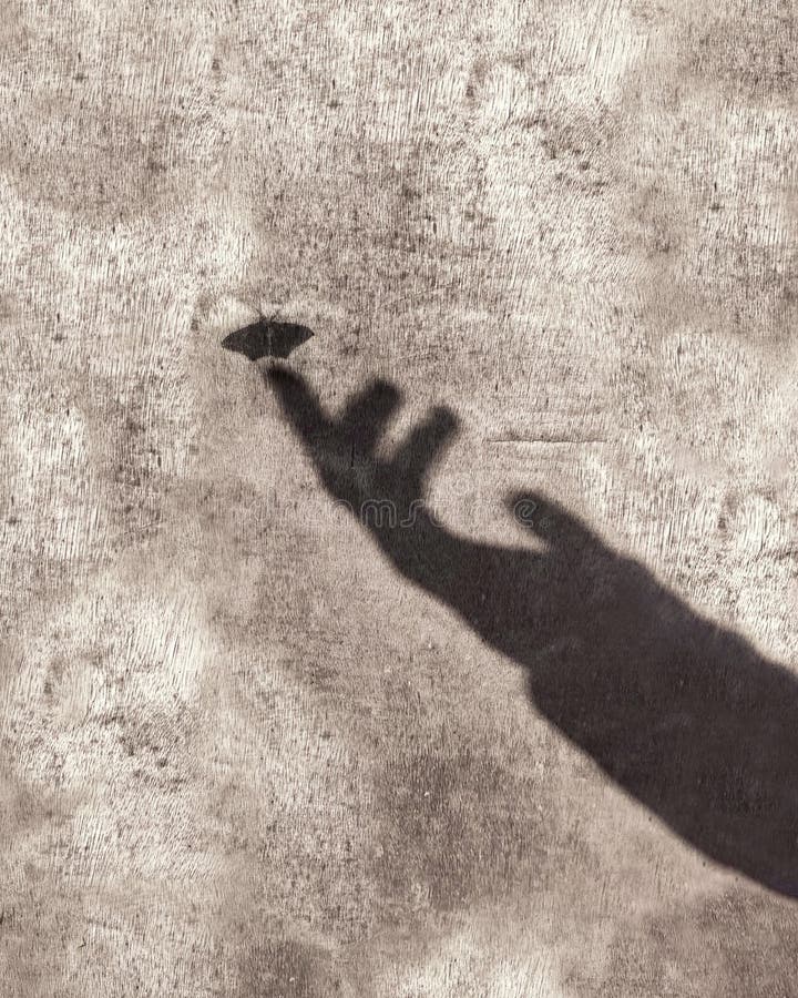 Shadow of a Hand with a Butterfly Stock Image - Image of sand, white ...