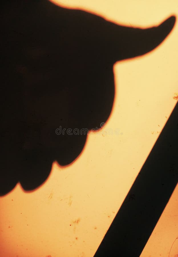 The Shadow of the Hand Clenching the Thumb Raised Stock Photo - Image ...