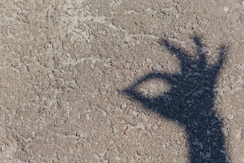 Shadow of hand at ground stock image. Image of goose - 119130355