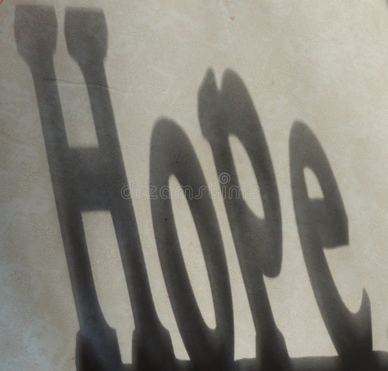 Shadow of Hope stock image. Image of bear, brown, walk - 51153271