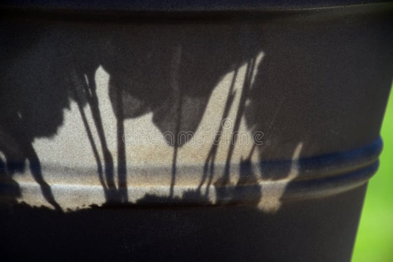 Shadow image stock image. Image of flower, decoration - 70035195