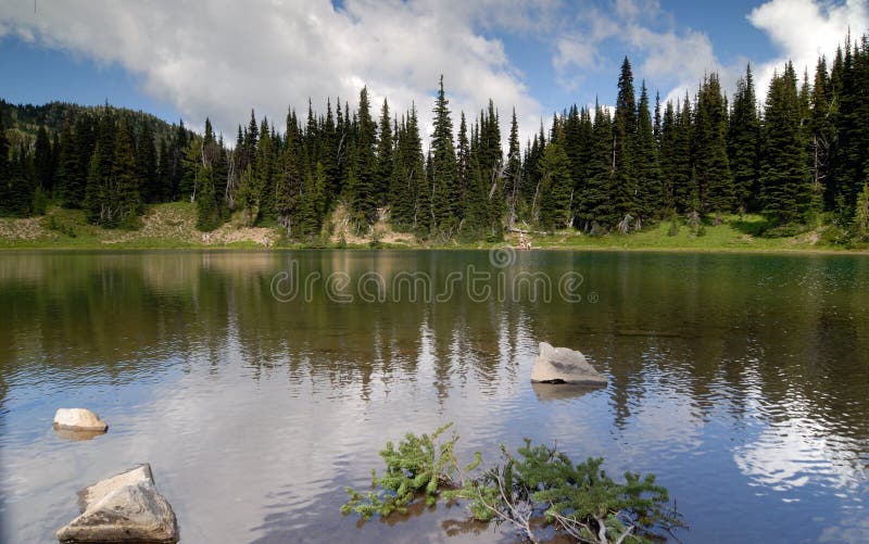 Shadow of Lake Reflected Trees Stock Photo - Image of landscape, lake ...