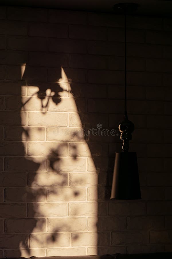 Shadow from a Lamp on a Brick Wall Stock Photo - Image of lamp, shade ...