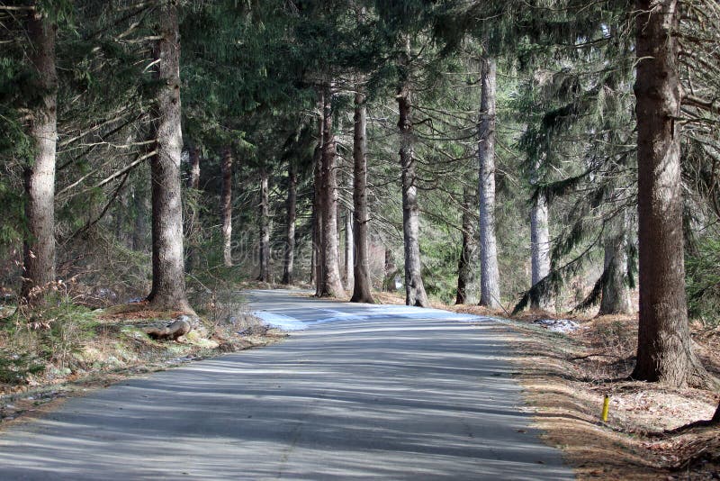 Shadow Lane Stock Images - Download 4,968 Royalty Free Photos