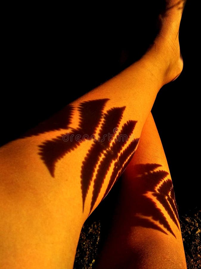 Shadow leaf in foot stock photo. Image of muscle, design - 247485926
