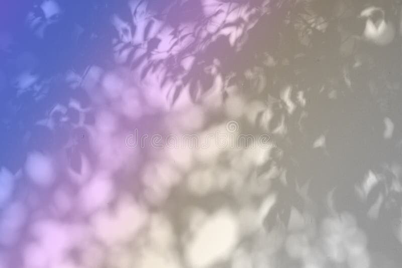 The Shadow Leaf of Tree on Colorful or Pastel Colorbackground Stock ...
