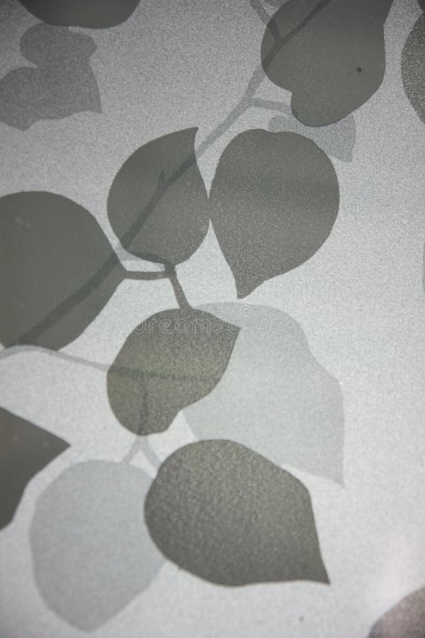 Shadow leaf stock photo. Image of tropical, reflection - 96321162