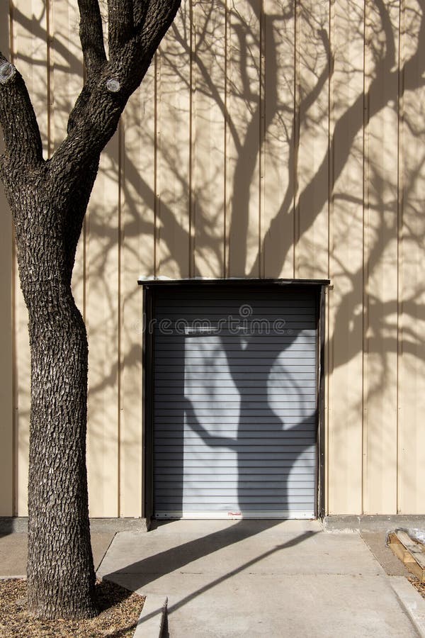 Shadow of a Leafless Winter Tree Against a Yellow Sided Buiding Stock ...