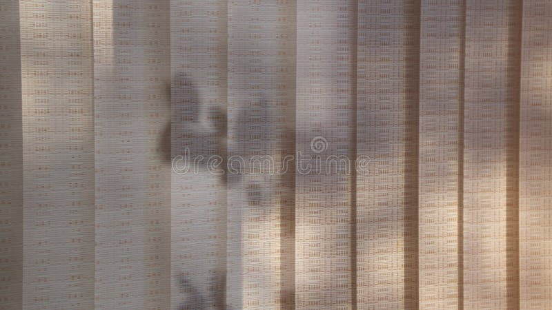 Shadow from Leaves on Fabric Vertical Beige Blinds. Stock Footage - Video of leaf, sunny: 355366202