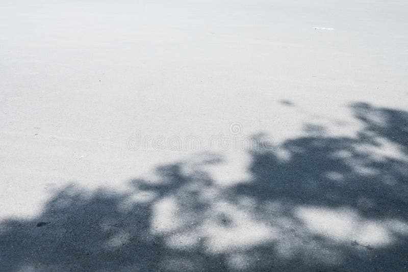 Tree Shadows on the Concrete Pavement Floor Stock Image - Image of ...