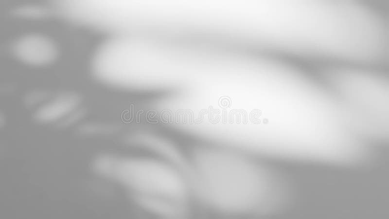 Shadow of Leaves Overlay on the Wall. Sunlight Effect on Surface Stock ...