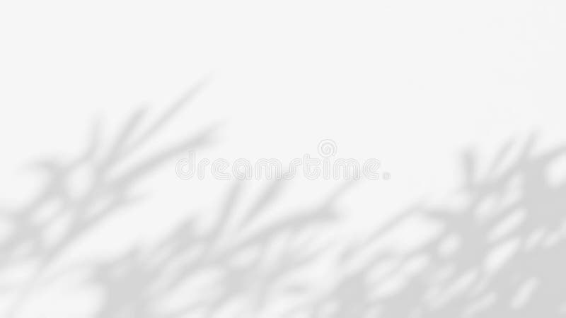 Shadow of Leaves Overlay on the Wall. Sunlight Effect on Surface ...