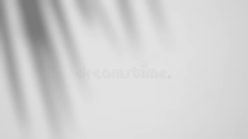 Shadow of Leaves Overlay on the Wall. Sunlight Effect on Surface Stock ...