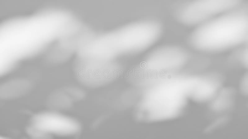 Shadow of Leaves Overlay on the Wall. Sunlight Effect on Surface Stock ...