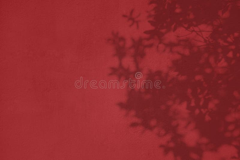 Shadow of Leaves on Red Concrete Wall Texture Background Stock Image ...