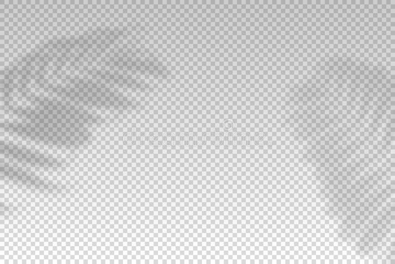 Shadow Leaves. Shade Wall. Tropical Plants Leafs Reflection Overlay ...