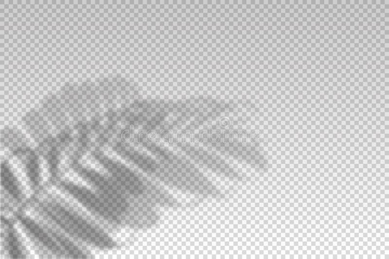 Window Light Png Stock Illustrations – 1,384 Window Light Png Stock ...