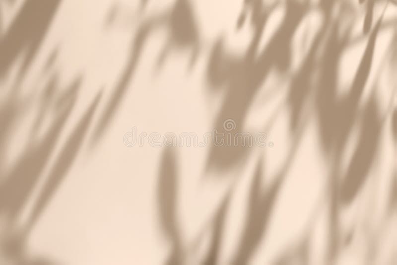 Shadow of Leaves on Solid Beige Wall Texture Background Stock Image ...
