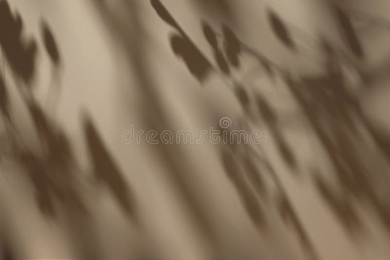Shadow of Leaves on Solid Beige Wall Texture Background Stock Photo ...