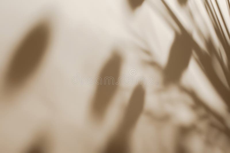 Shadow of Leaves on Solid Beige Wall Texture Background Stock Photo ...