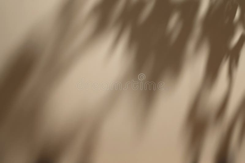 Shadow of Leaves on Solid Beige Wall Texture Background Stock Photo ...