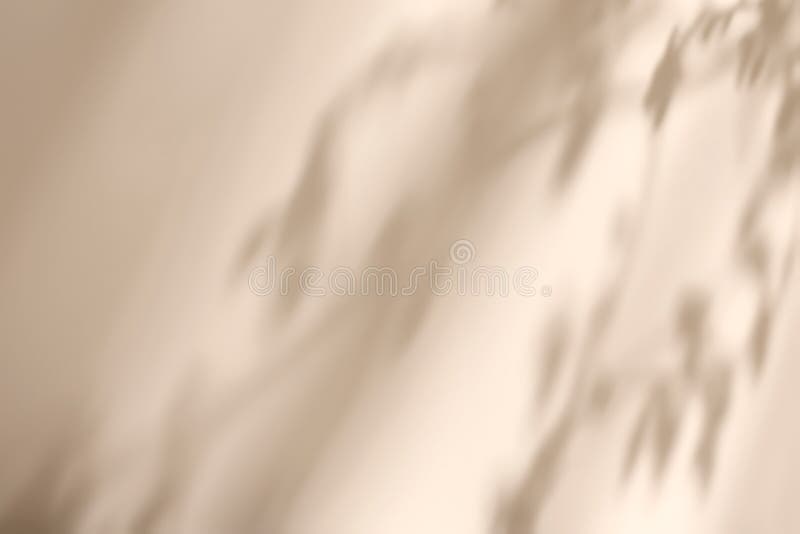 Shadow of Leaves on Solid Beige Wall Texture Background Stock Image ...