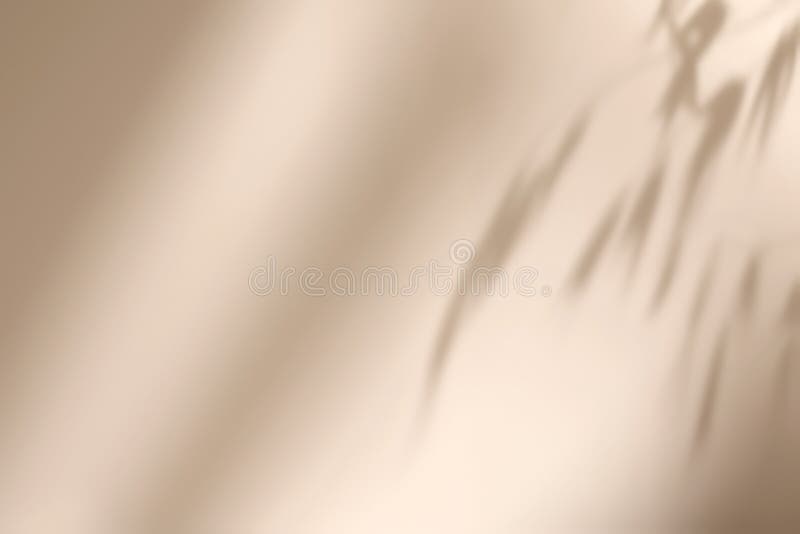 Shadow of Leaves on Solid Beige Wall Texture Background Stock Photo ...