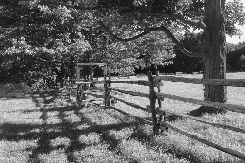 Shadow and Light in the Farm Stock Image - Image of farm, wood: 95177877