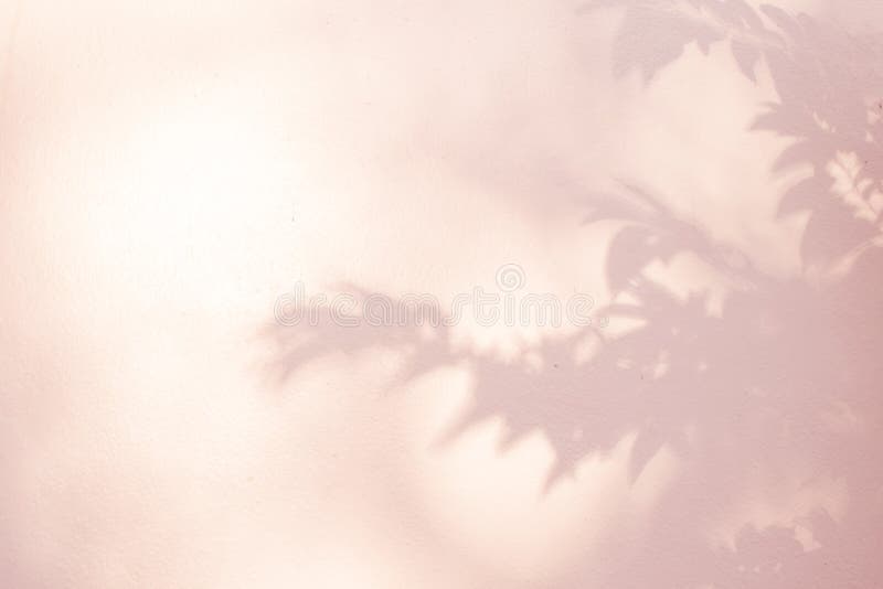 Shadow and Light of Leaves Tree Branch Background. Natural Colorful ...