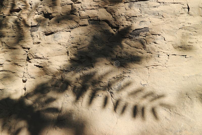 Shadow&light Stone Nature Forest Phataem Ubonratchani Thailand Stock ...