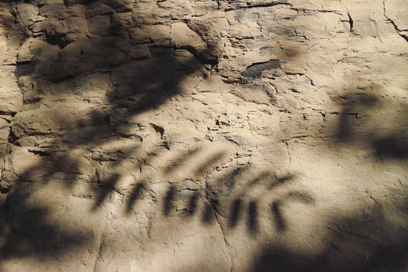 Shadow&light Stone Nature Forest Phataem Ubonratchani Thailand Stock ...