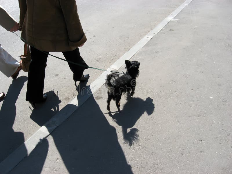 Shadow stock photo. Image of ankle, walk, ramble, regard - 56413558