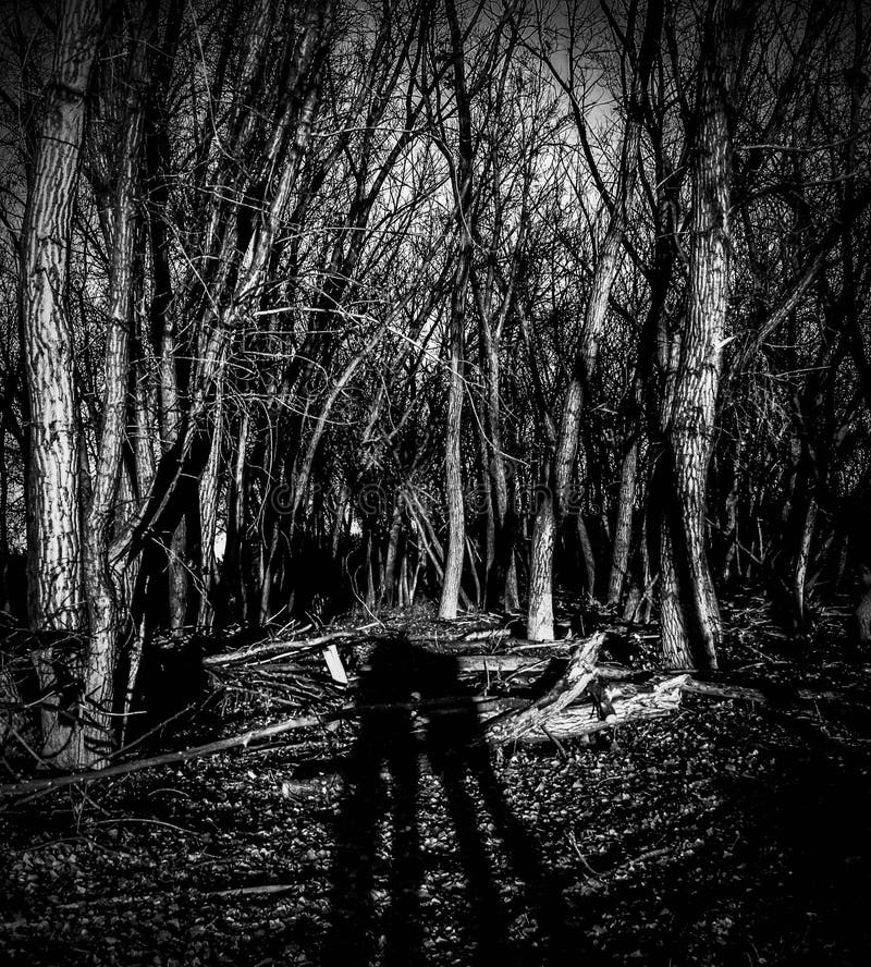 Shadow lovers stock photo. Image of huging, shadow, black - 134318370