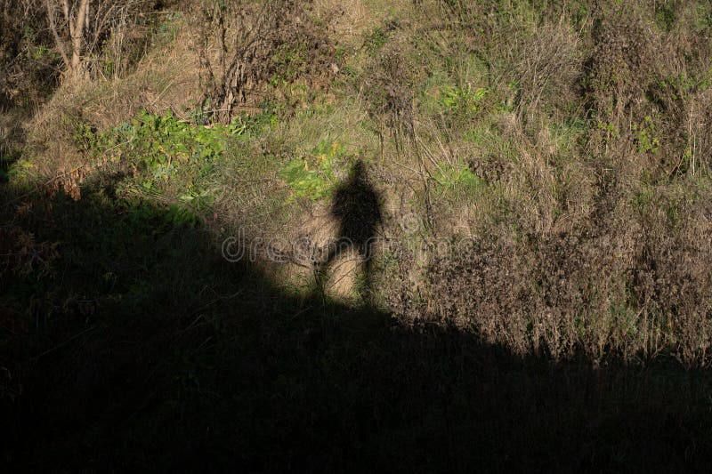 The Shadow of a Man in the Distance Looking Down. the Shadow of a Man ...