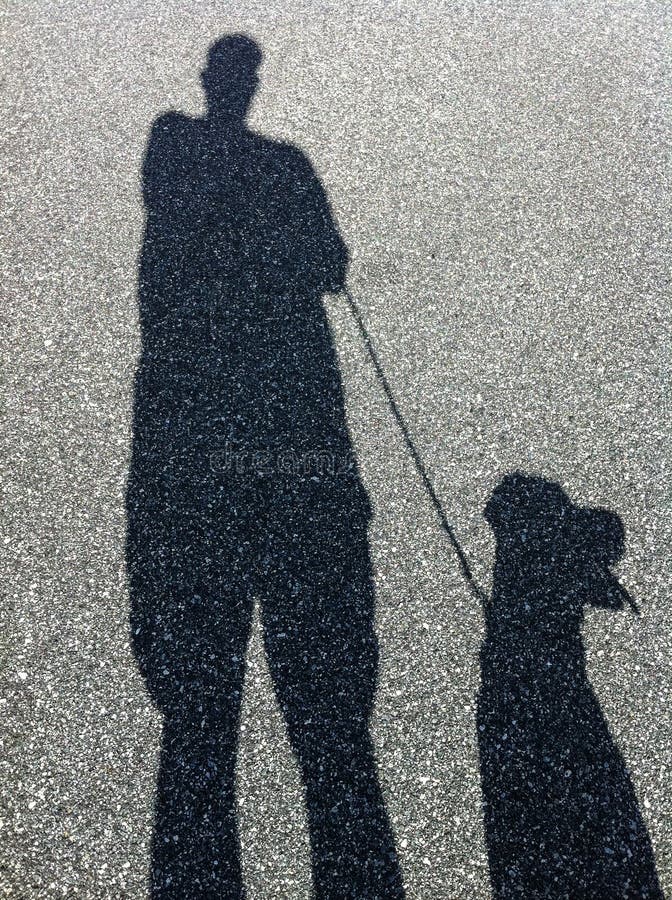 Shadow of Man and Dog Walking Stock Photo - Image of obedient, concrete ...