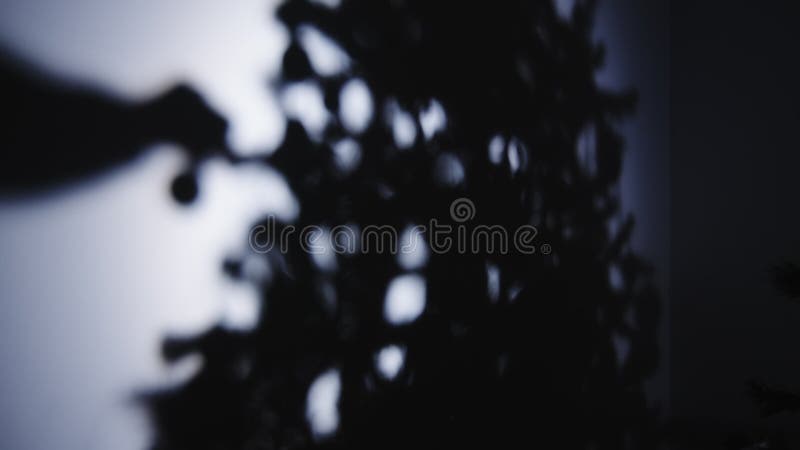 Shadow of Man Hanging Christmas Ball on the Tree Stock Footage - Video ...