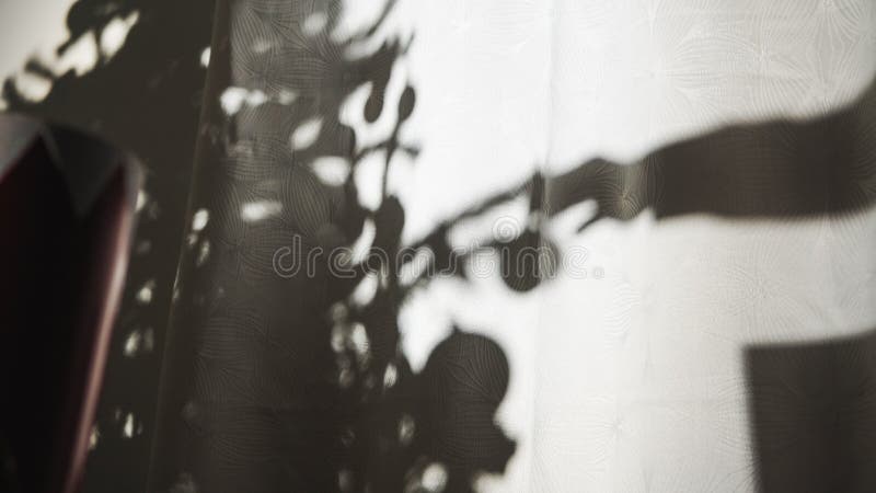 Shadow of Man Hanging Christmas Ball on the Tree Stock Photo - Image of ...