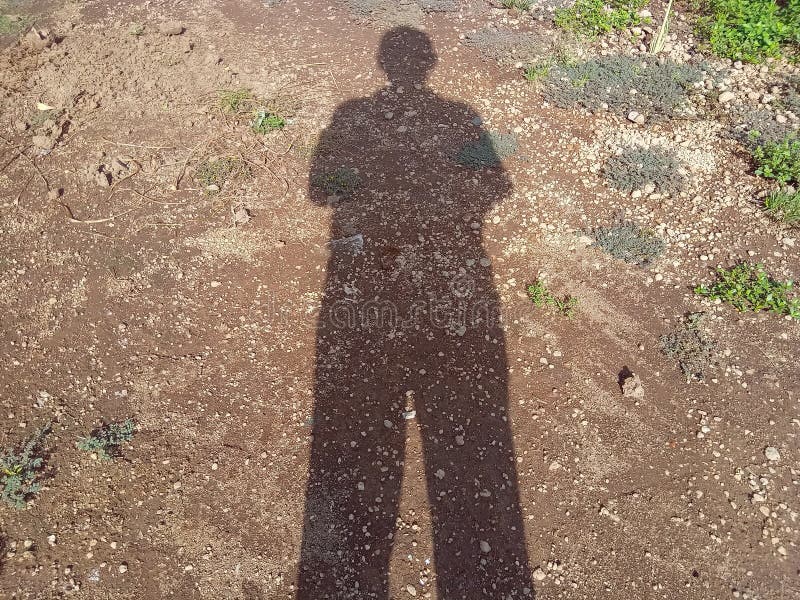 The Shadow of a Man in the Morning Sunlight Stock Image - Image of ...