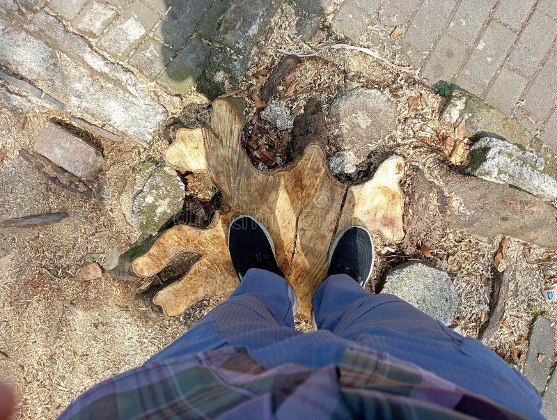 The Shadow of a Man& X27;s Feet Stock Photo - Image of holiday, leather ...